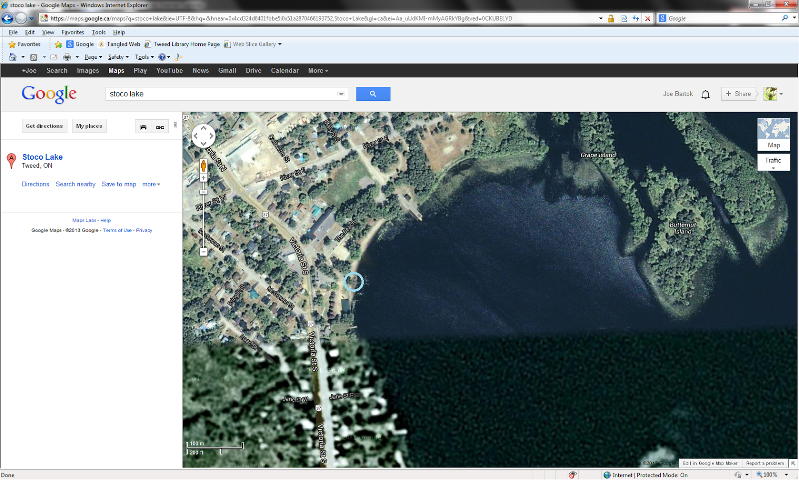 Tangled Web: An Odonate off the Beaten Track