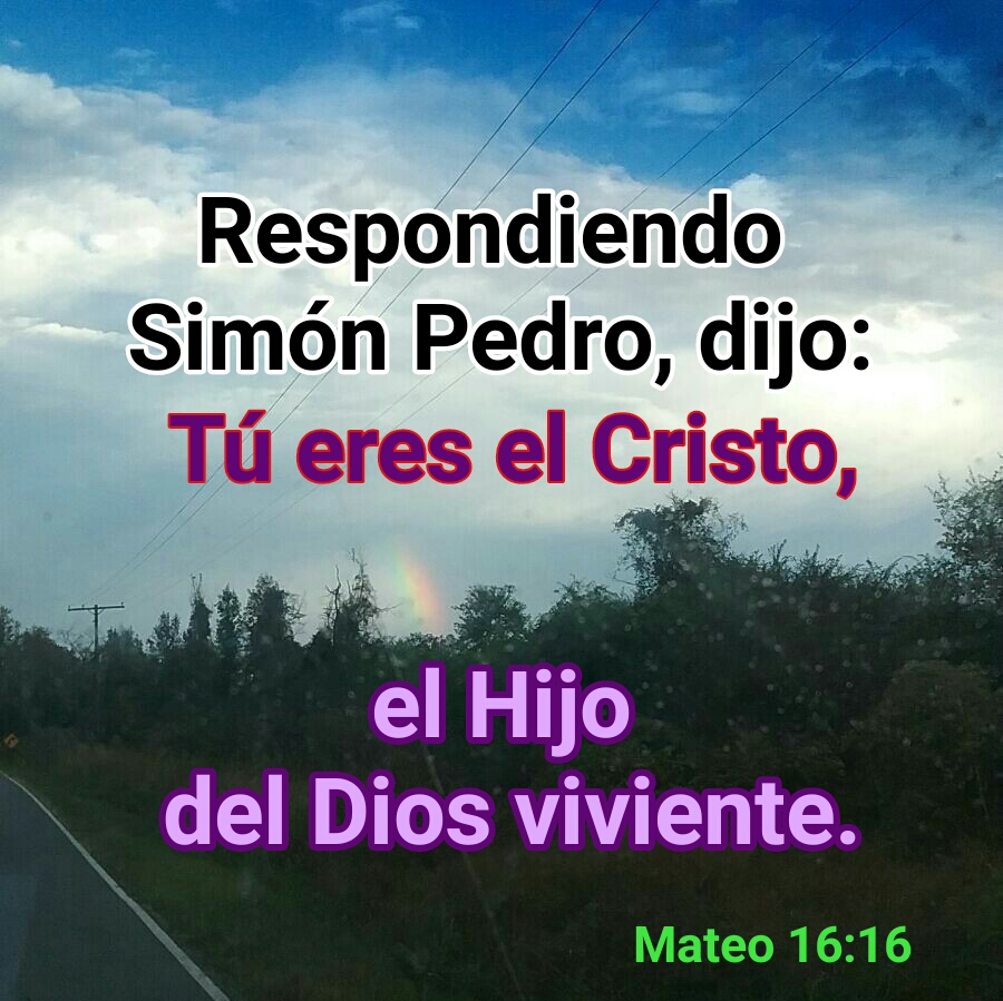 ANTOFAGASTA RELIGIOSA: LA BIBLIA: MATEO 16