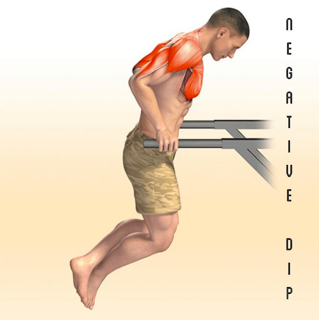 Chest Muscle Anatomy Workout | Bodybuilding and Fitness Zone