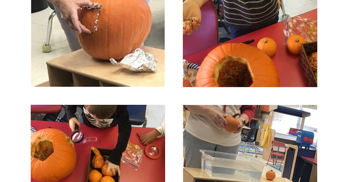 Make Early Learning Fun!: We are Scientists: Pumpkin Exploration