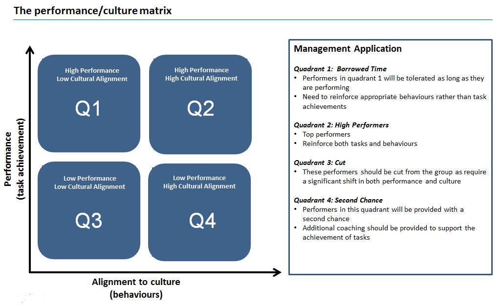 Beyond the Boundary: Performance - Culture Matrix
