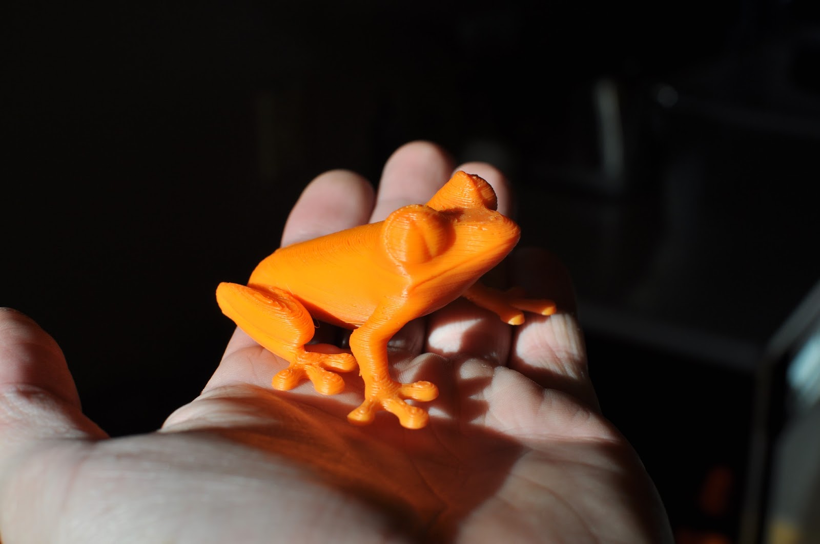 handverker: tree frogs and hairspray