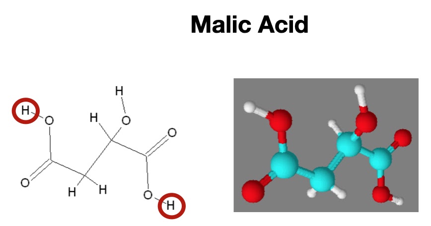 EnoViti: Organic Acids in Grape Berry and Wine---Malic Acid Metabolism