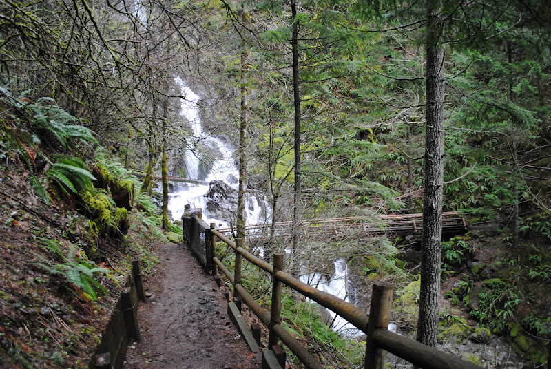 Black Watch Sasquatch: Rodney Falls & Little Beacon Rock - Columbia ...