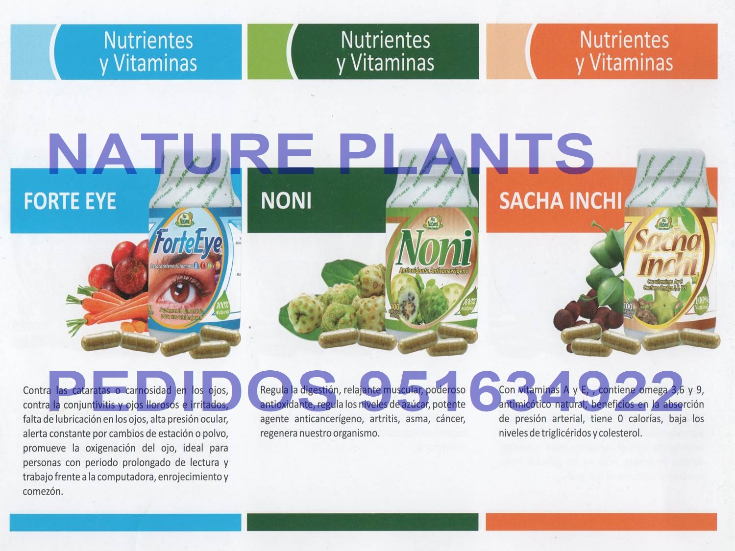 MAS NATURAL CATALOGO CAPSULAS