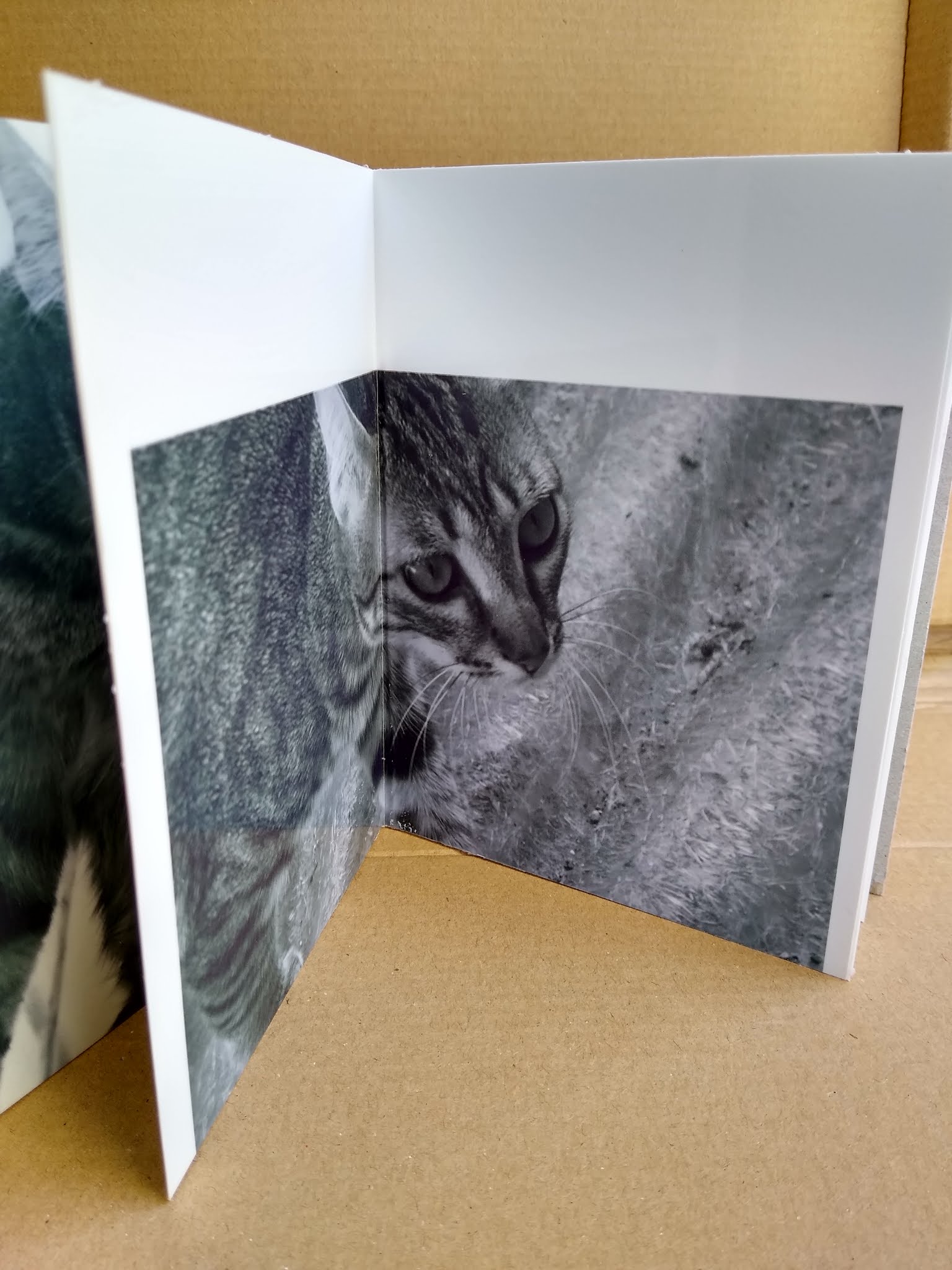 Triloli...: Encuadernación Creativa