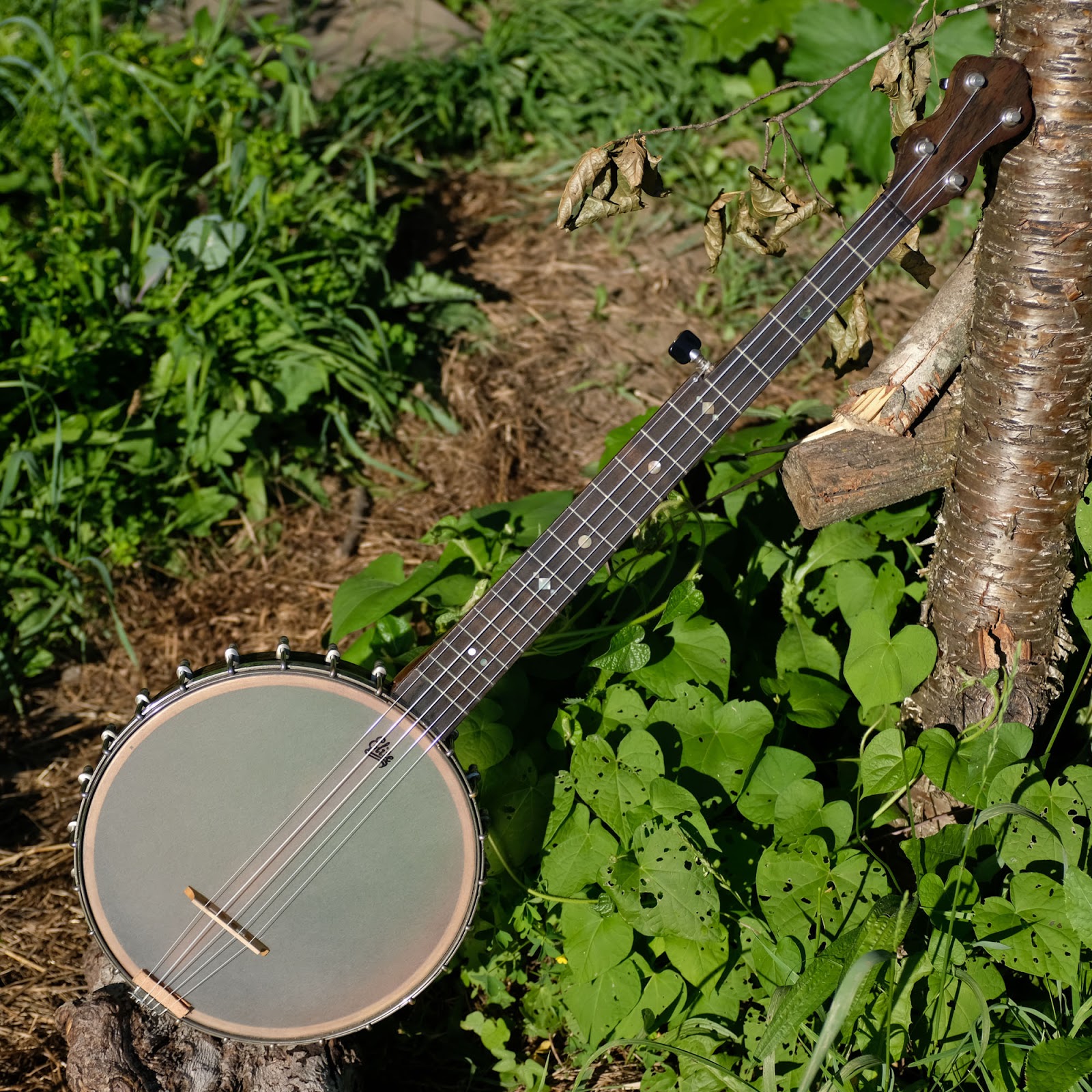 1883 Fairbanks & Cole Openback 5-String Banjo