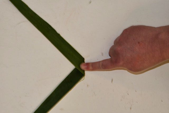 Paleotechnology: Yucca Sandals #1