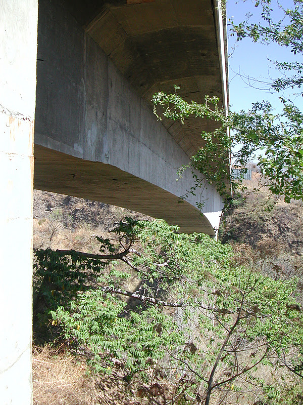 Bridge of the Week: Mexico's Bridges: Puente Pialla (2)