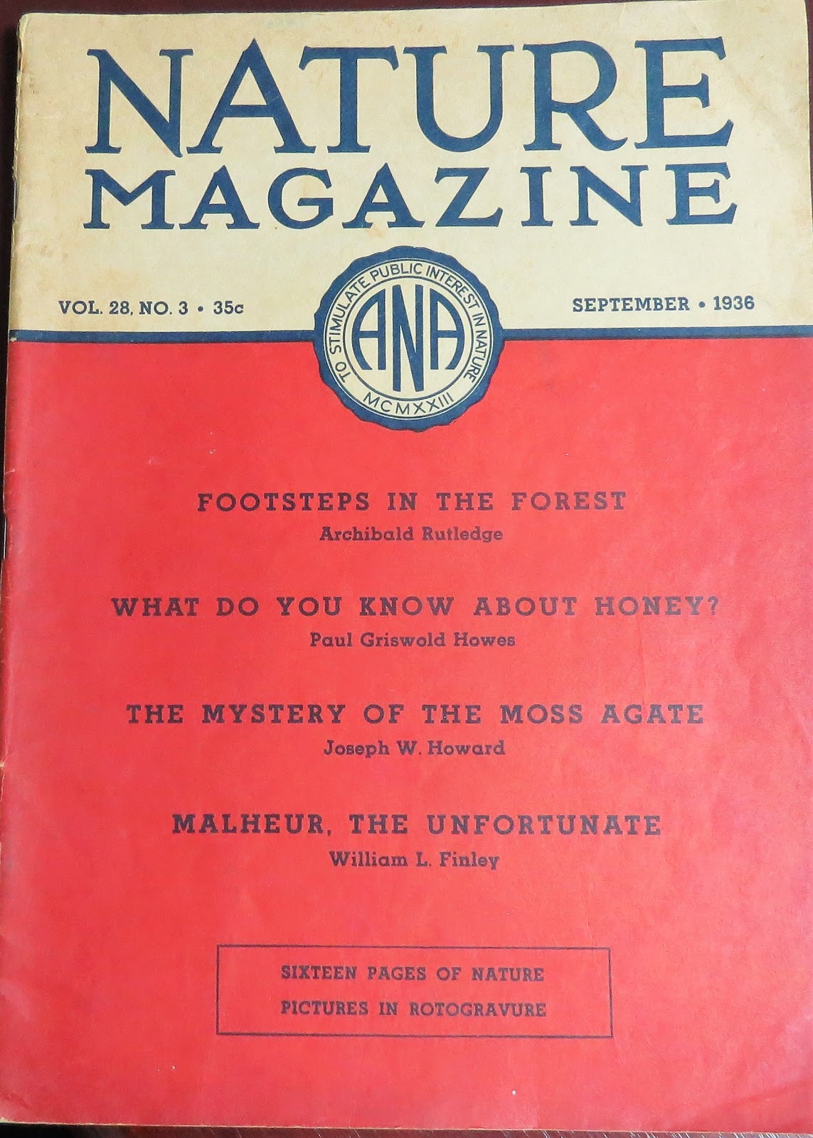 A Retrospective in Nature - Travels With Birds