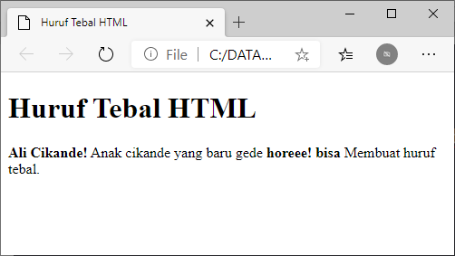 FORMAT TEKS HTML
