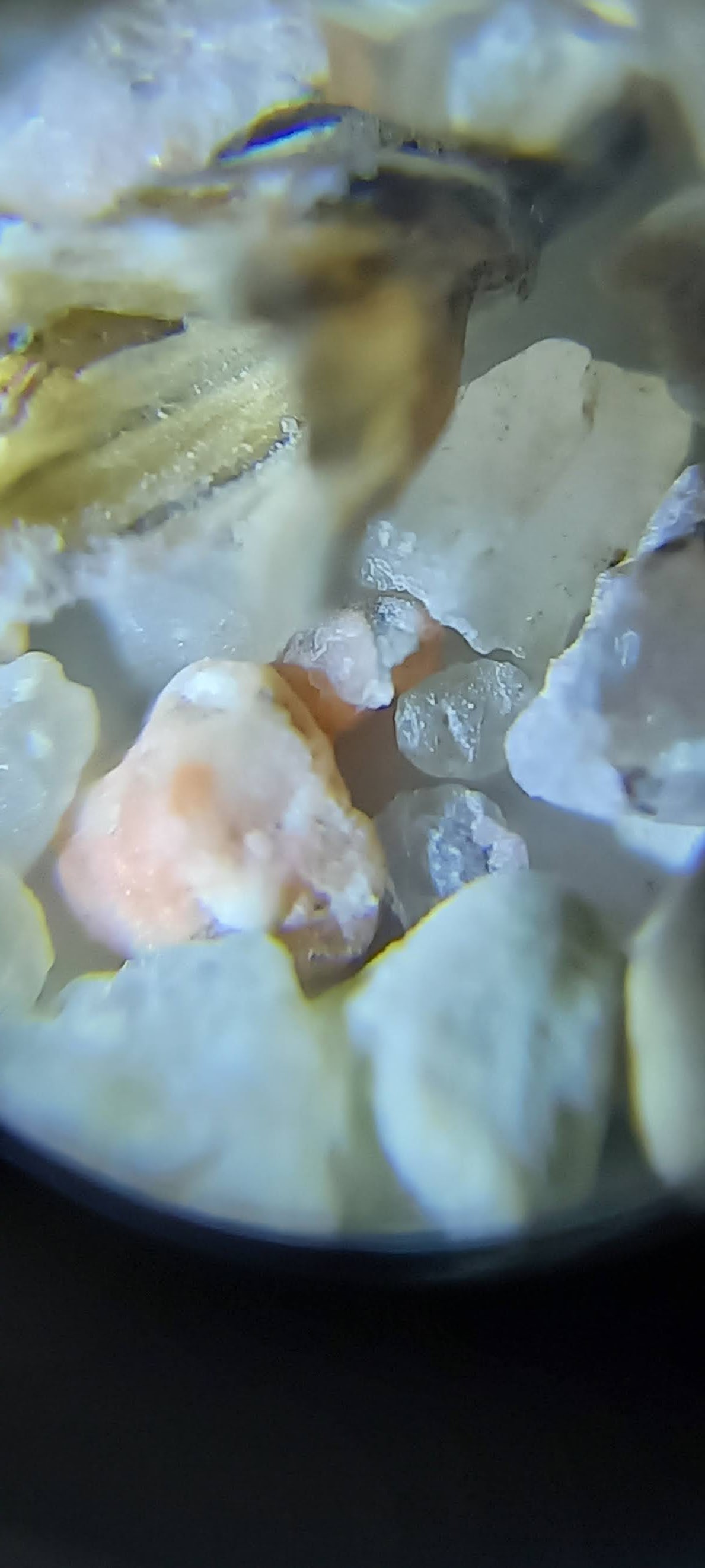 Loodusteaduste Koda: AG Maakoor koosneb kivimitest 6. klass 7.09.20