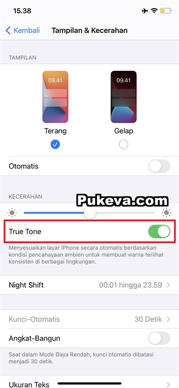 Apa Arti dan Maksud dari True Tone pada iPhone atau iPad? | PUKEVA