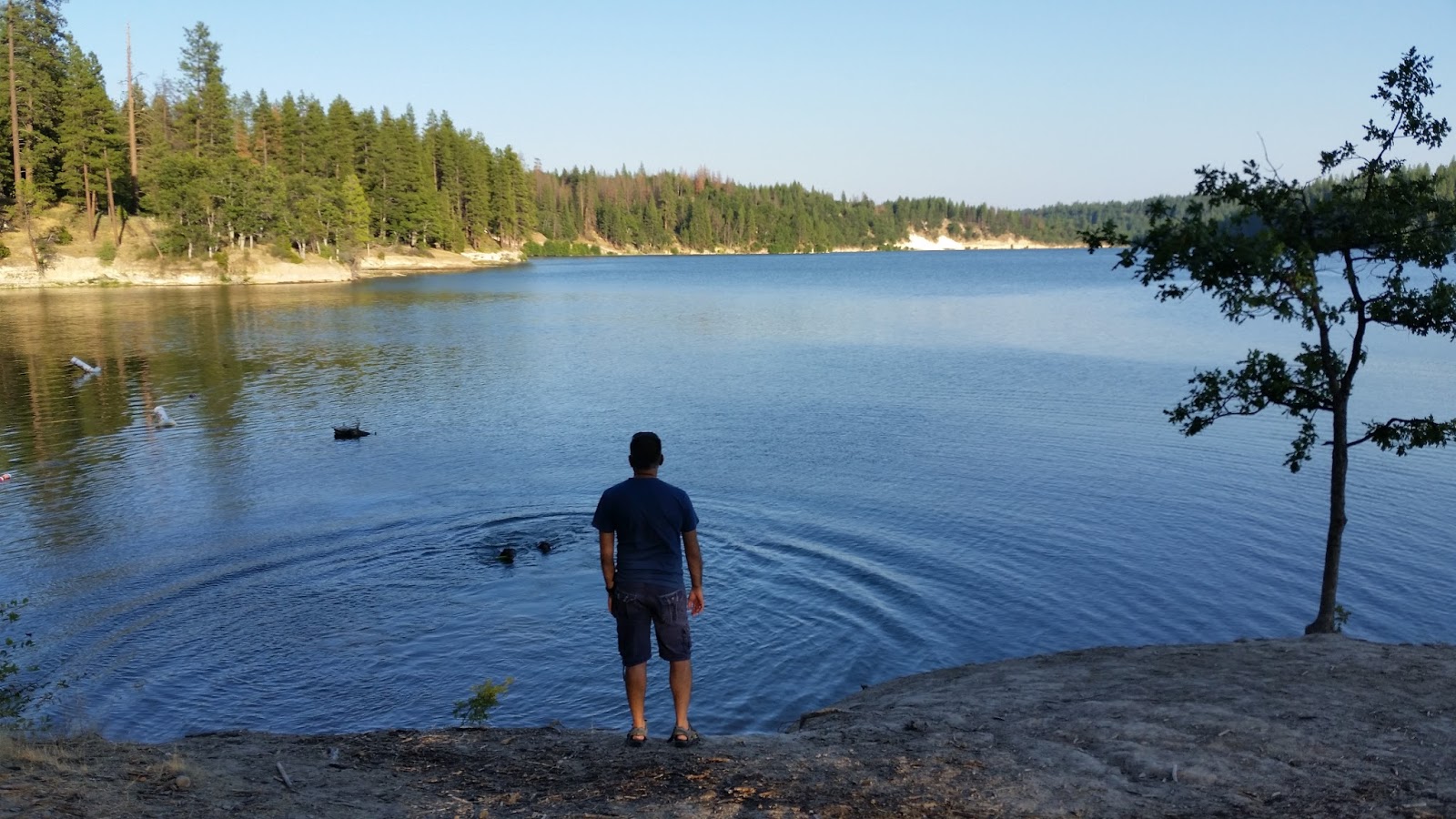 Wes' Travels to California Lakes: Lake Britton - Shasta County, California