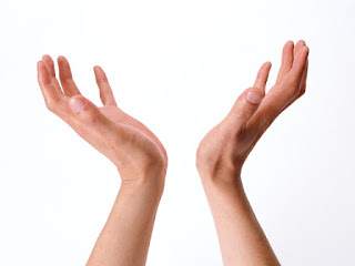 Need An Extra Set Of Hands This Summer?