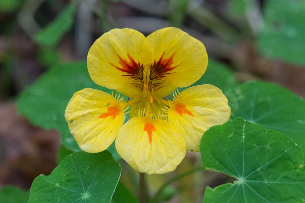 Shadows & Light: Erith to Bostall Woods