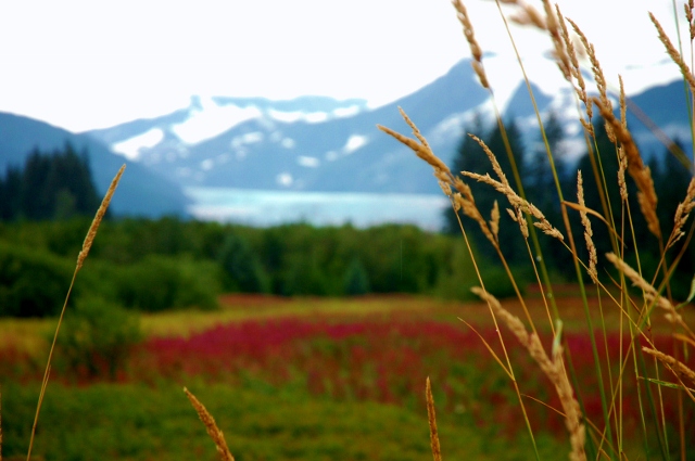 Drew Meyers Photography: Alaska