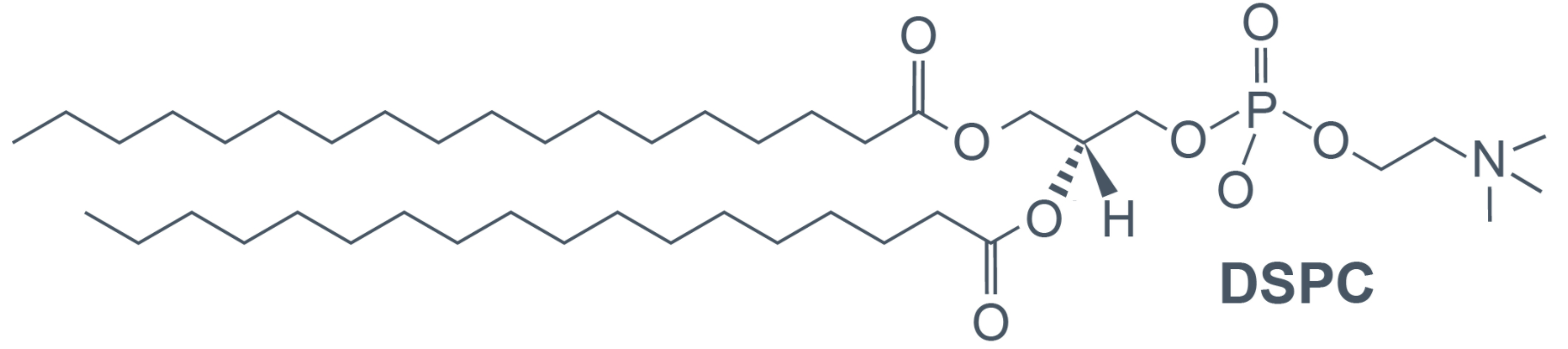 Molecular Structure of the Ingredients in the Pfizer-BioNTech Covid-19 ...
