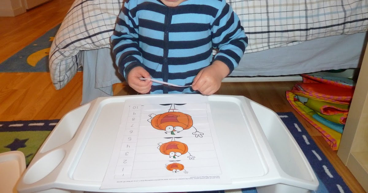 Family FECS: Montessori Activity: Matching Picture Puzzle