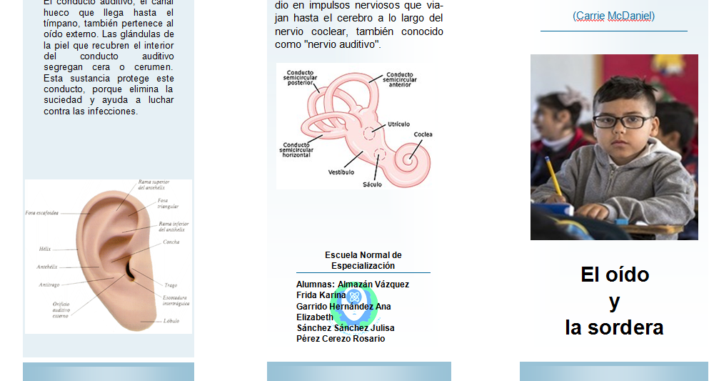ATENCIONEDUCATIVAADISCAPACIDADAUDITIVA: Triptico: El oído y La Sordera