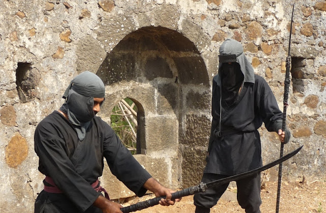 Ninjutsu Training Online