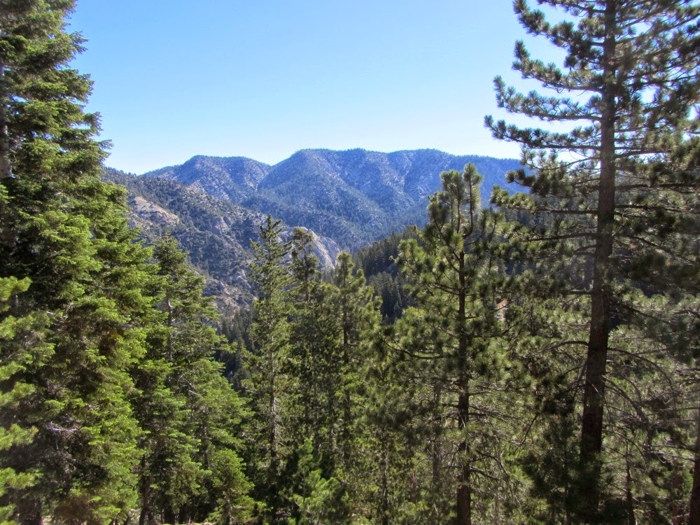 Dan's Hiking Blog: Kratka Ridge Hike - June 14, 2014