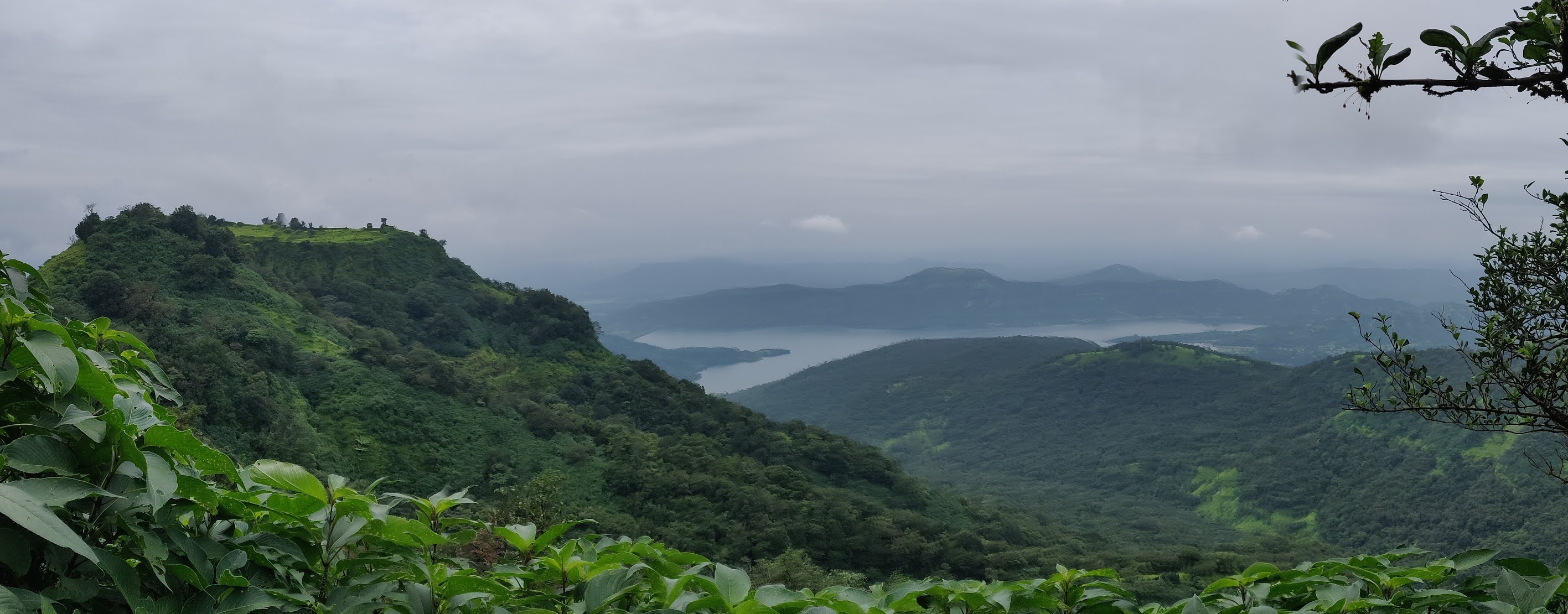 Mission: Ceropegia II