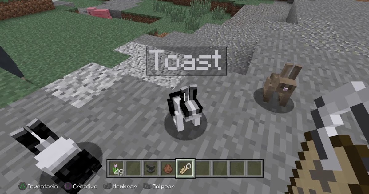 Rabbit colors: Rabbit colors minecraft