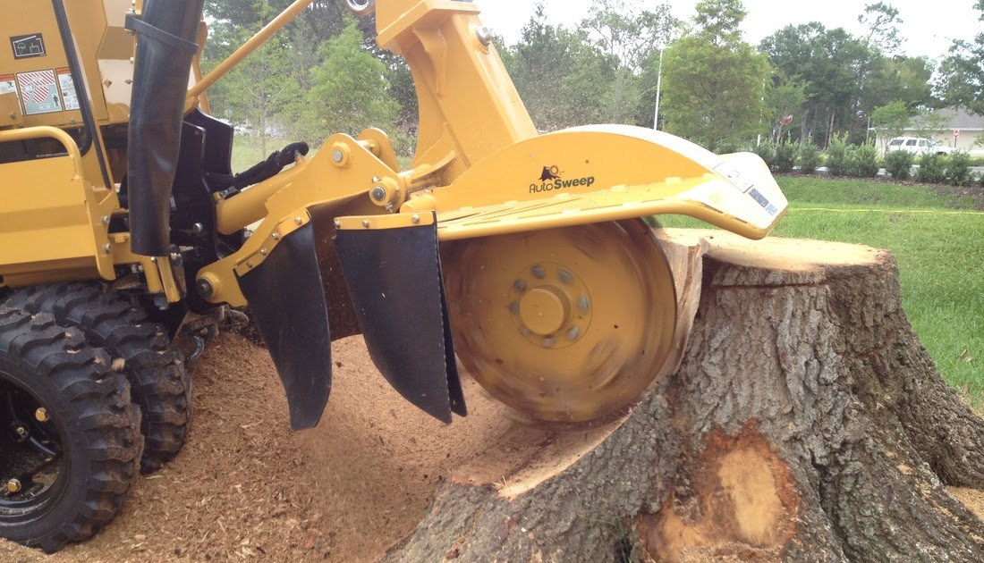 Stump Removal: How to do it manually?