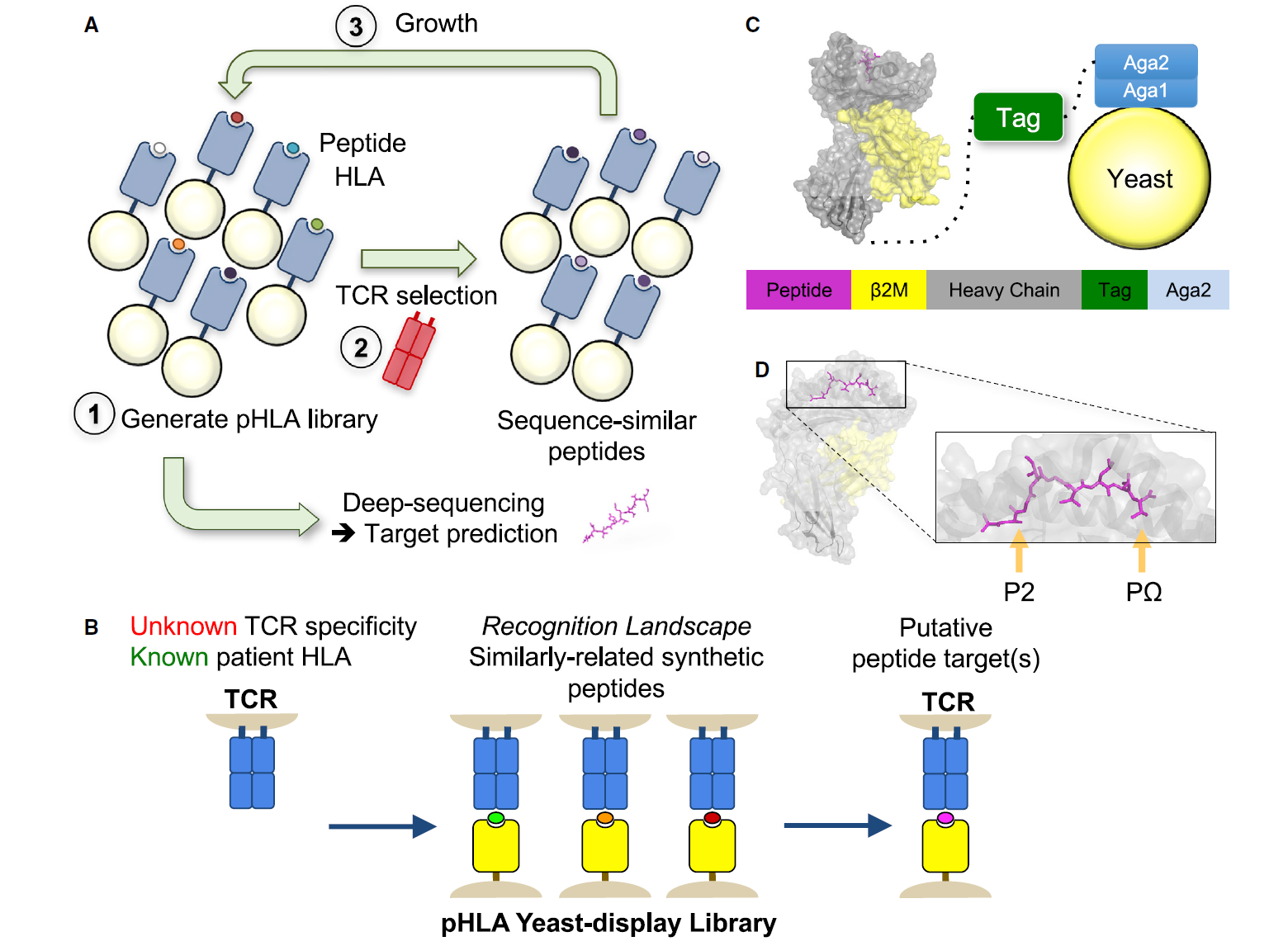 Effort to identify tumor-specific antigens: The University Industrial ...
