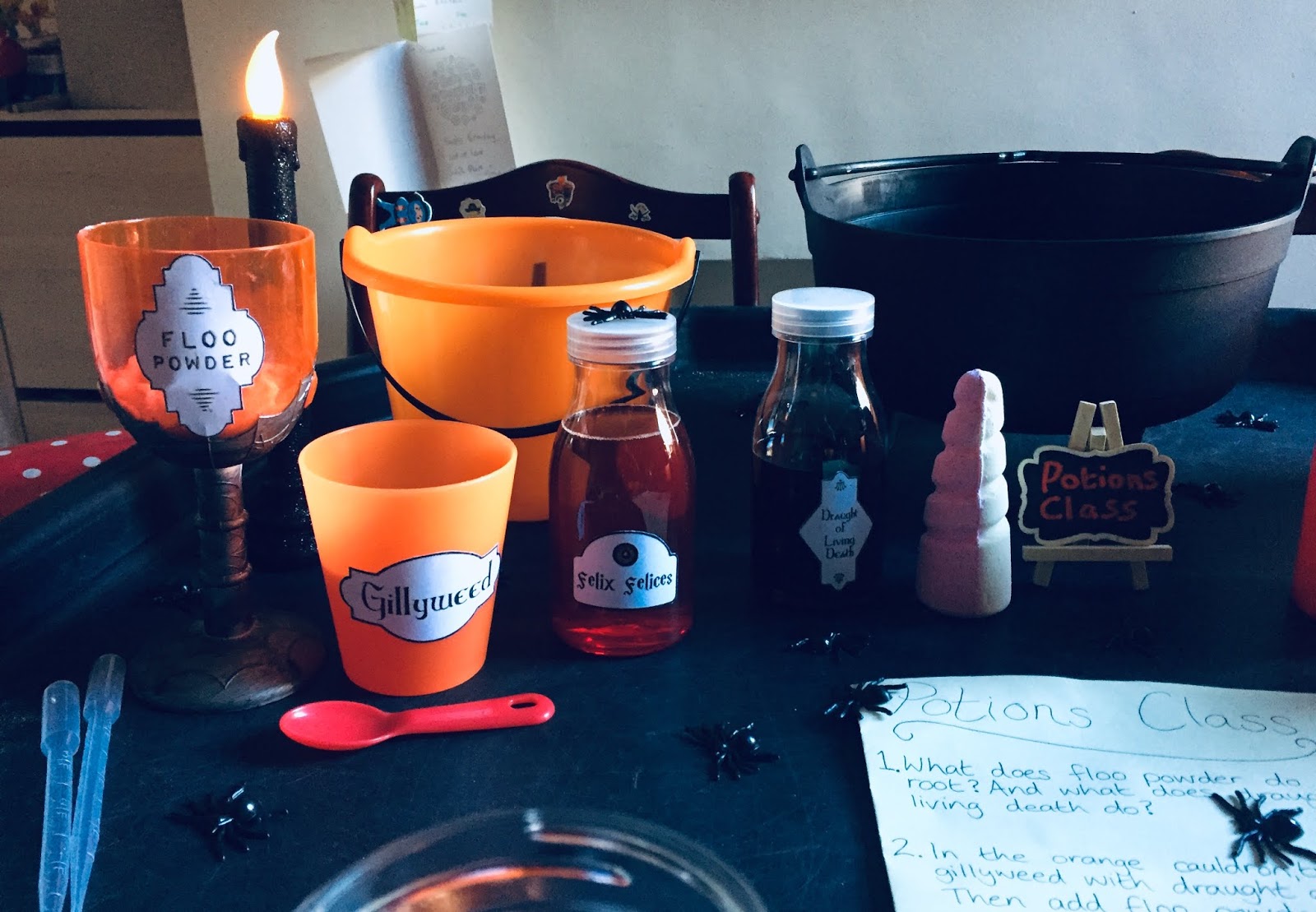 Harry Potter Potions Class