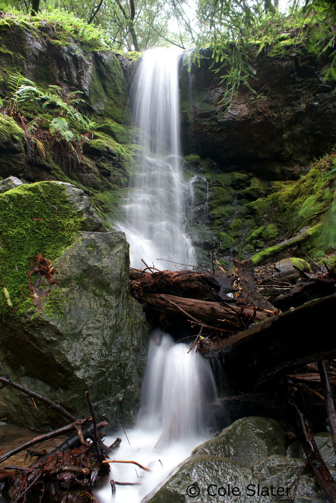 Cole's Trail Tales: Marin Waterfalls Hike - Dawn Falls - 3/22/11