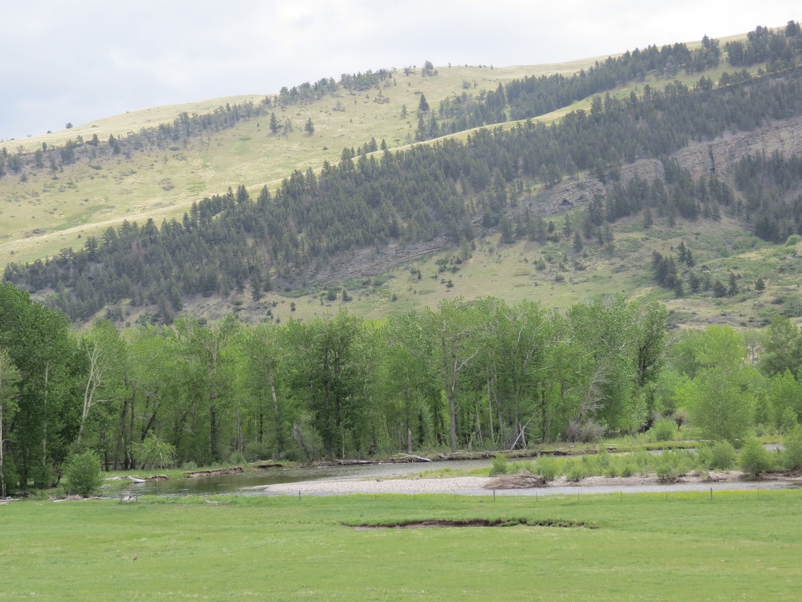 Where's Liz-2012?: Big Timber, Montana