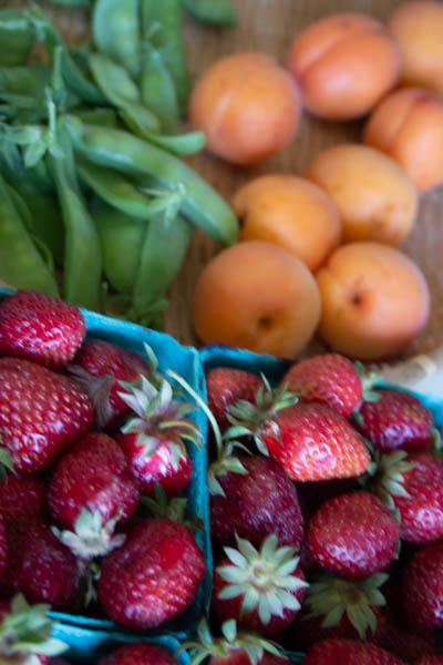 Delights of the Heart