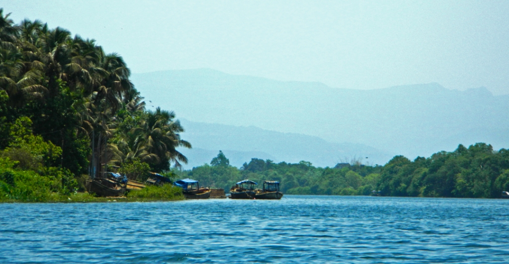 Crocodile safari at Maldoli backwater,Maharashtra,India | Travel life ...