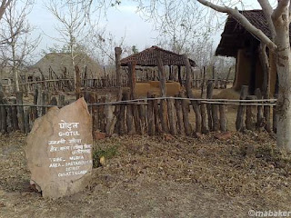 Shibu: “Ghotul” culture of tribal life in Baster Chhattisgarh