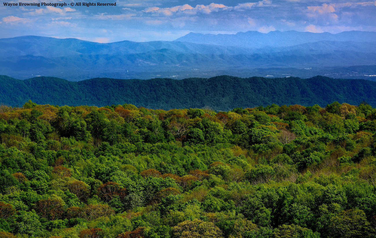 The High Knob Landform: Early Summer 2020_High Knob Massif