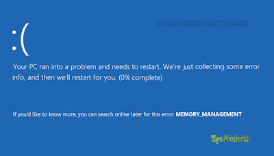 Cara Memperbaiki Error Blue Screen MEMORY_MANAGEMENT di Windows 10/11 ...