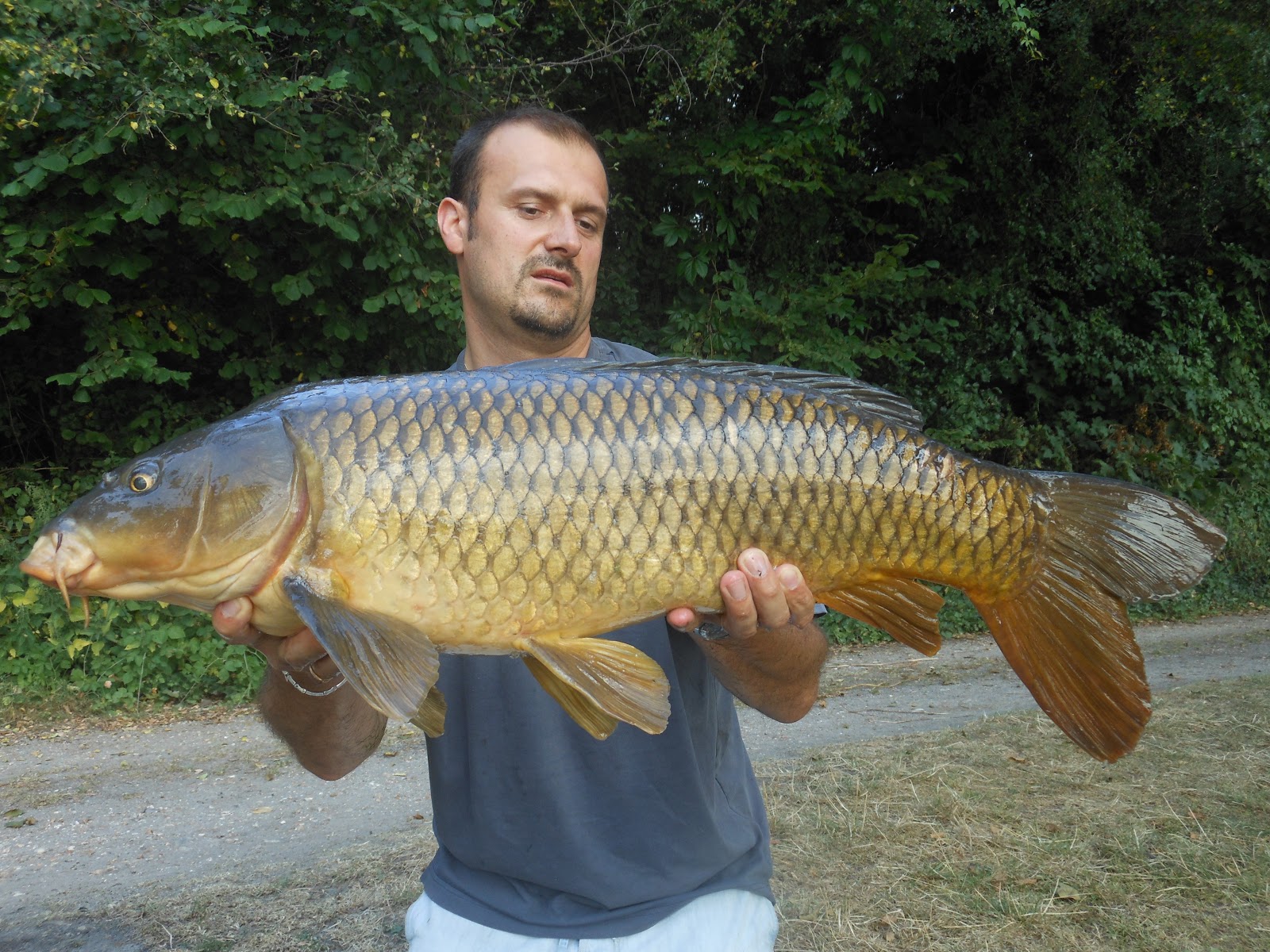 Multi Pêche 77: carpes 2012 début de saison