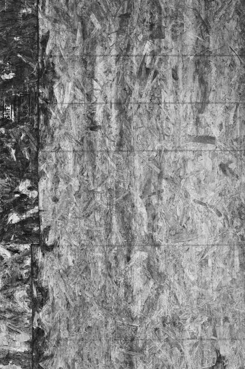 travis markel [photographer]