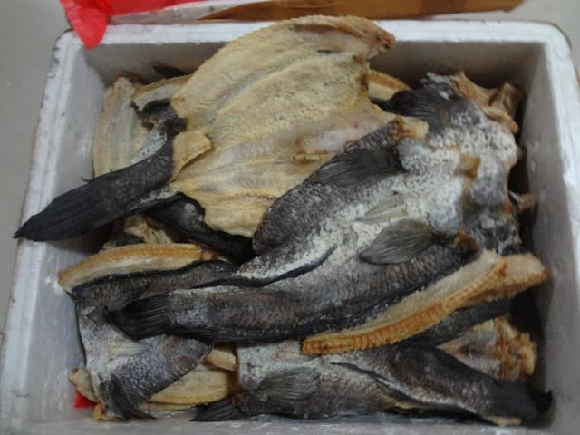JUAL IKAN GABUS ASIN KERING | Exportir Snakehead fish - Griya Arka Kendal
