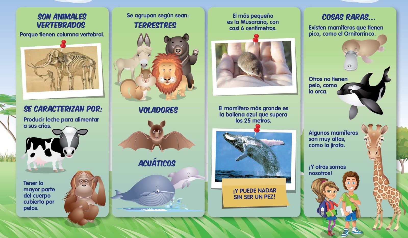 3º Primaria: Ciencias Naturales 28.04.2020