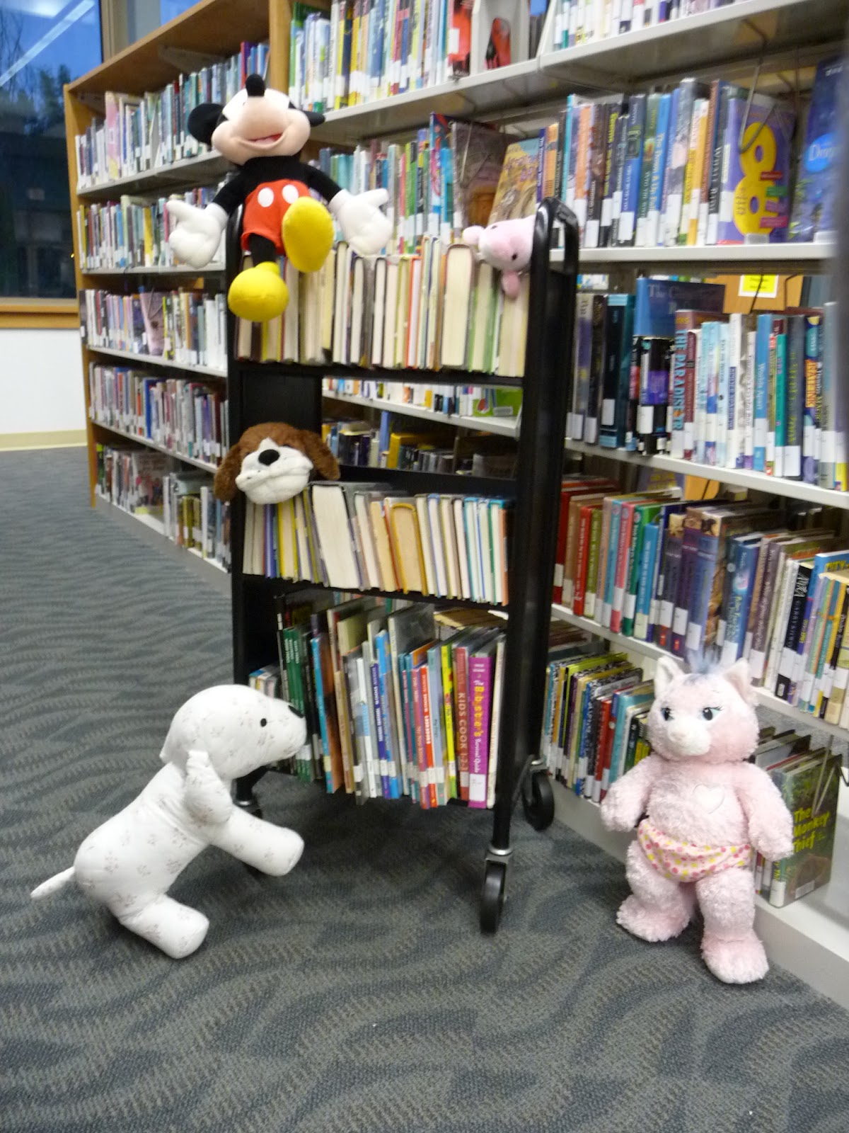 East Central Regional Library System: Stuffed Animal Sleepover at the ...
