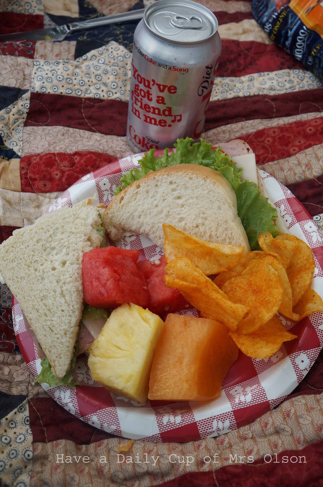 Making a Patriotic cooler for a 'cool' Picnic. . . - Have a Daily Cup ...