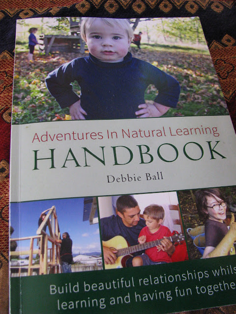 Adventures In Natural Learning: BEGINNERS' GUIDE TO HOME EDUCATION