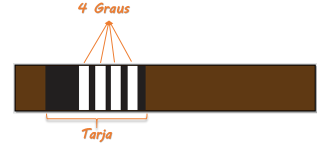 Il sistema di graduazione nel Jiu-Jitsu Brasiliano IBJJF ~ maxbjj