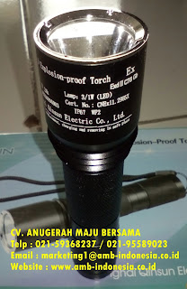 Lampu LED Explosion Proof Non Explosion Proof: Jual Lampu Senter LED ...