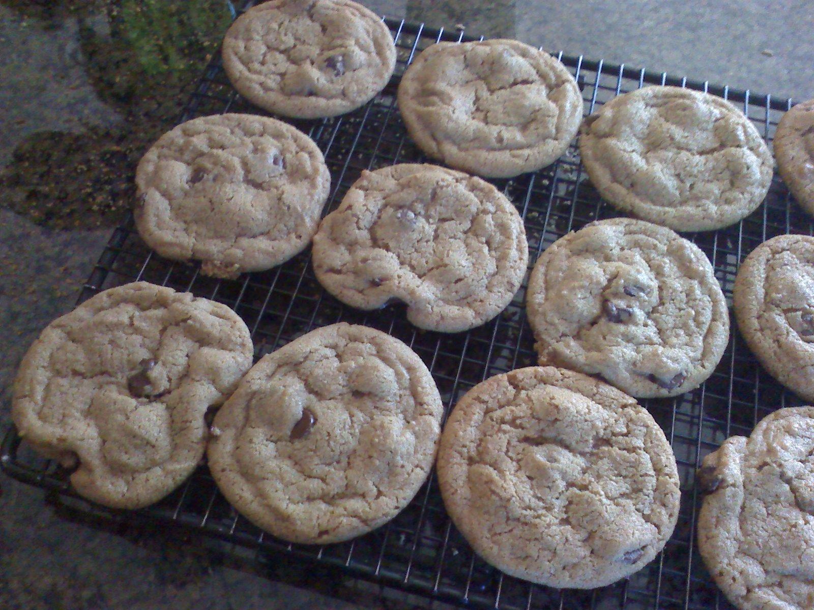 Nutritious-n-Delicious: Nutritious VS Vicious