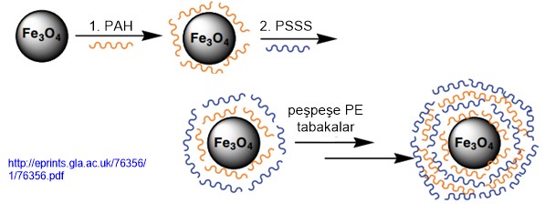 Prof. Dr. Bilsen Beşergil: Tabaka-Tabaka (layer-by-layer)