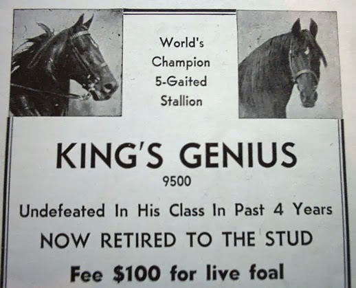 The American Saddlebred: CH King's Genius